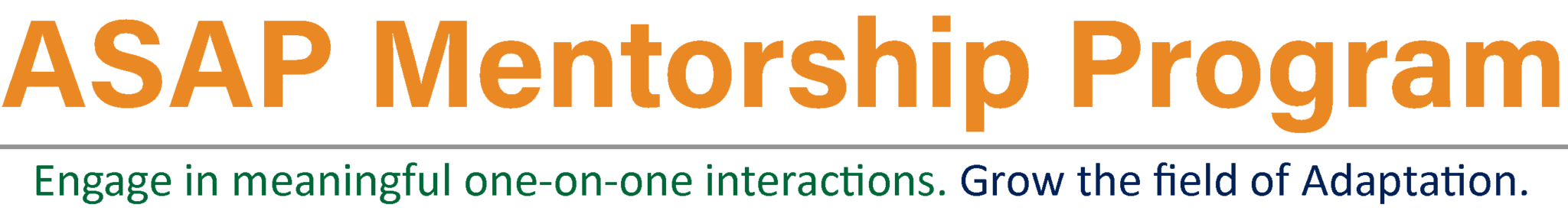 Mentorship Program - Adaptation Professionals