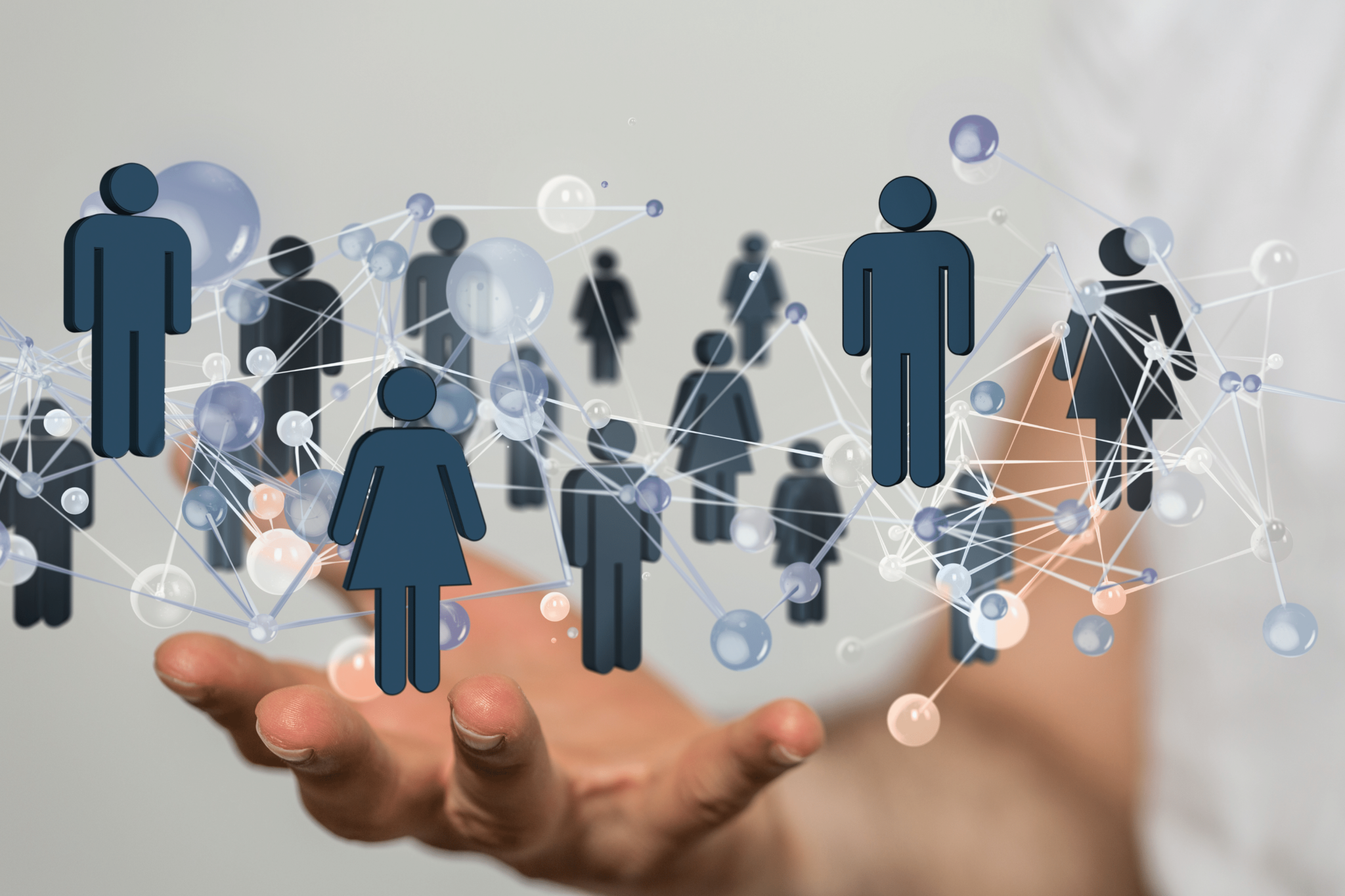 ASAP Organizational Members - Adaptation Professionals